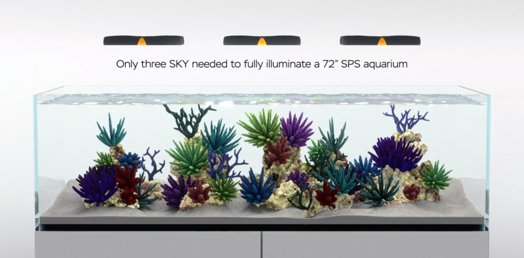 Neptune Sky Reef Aquarium LED Light – Manhattan Aquariums